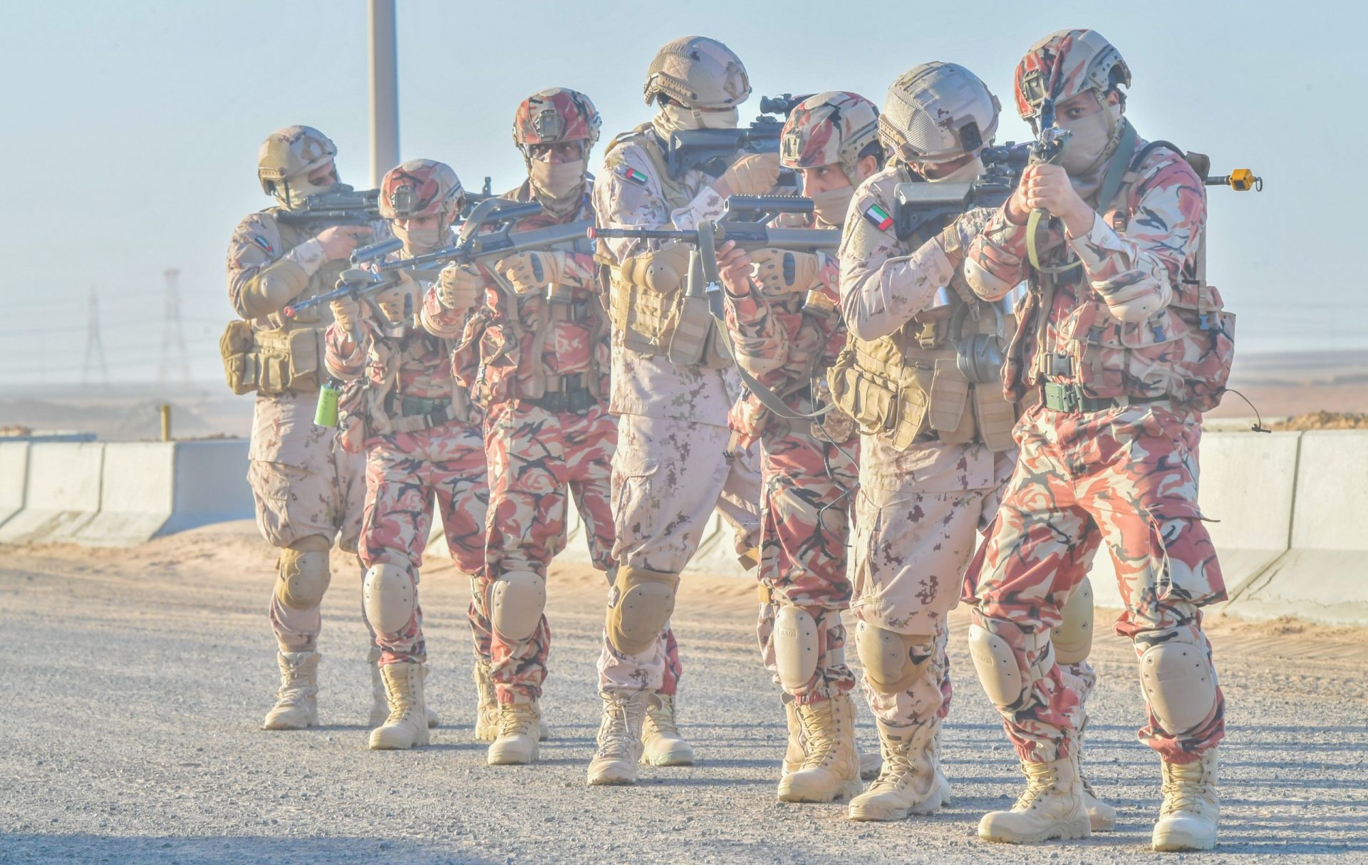 ‘Cooperation-3’ joint military exercise between UAE, Oman concludes ...